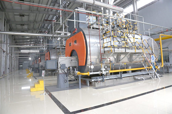 Best Steam Boiler Solution for Food Processing Plants: Cost, Efficiency ...